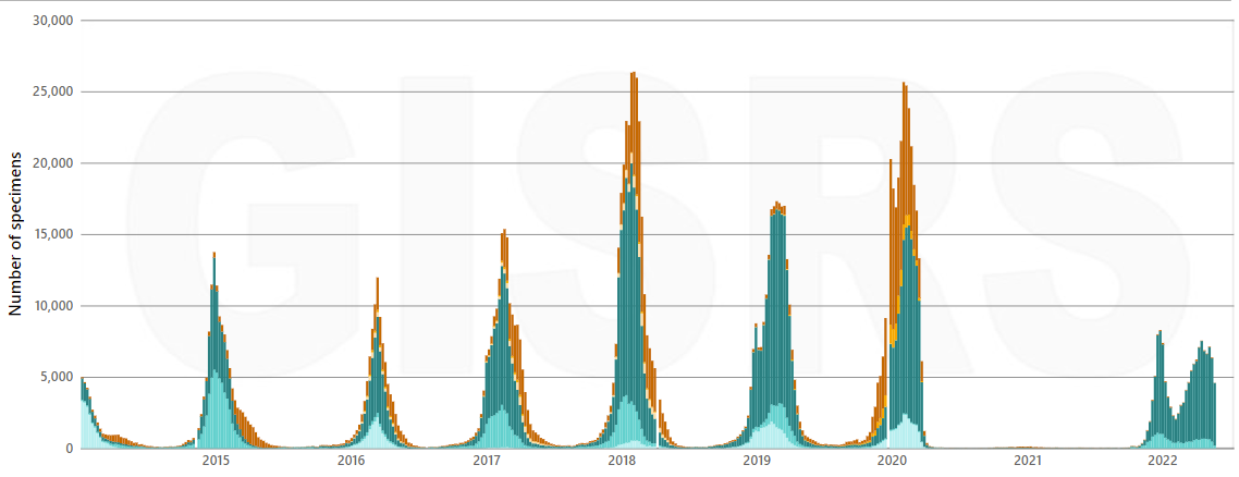 The SARS-CoV-2 and influenza see-saw – HART