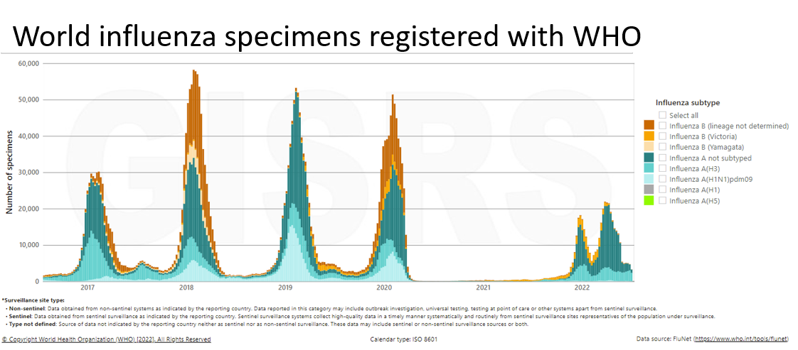 The SARS-CoV-2 and influenza see-saw – HART